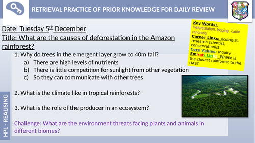 KS3 Geography. Causes of deforestation | Teaching Resources