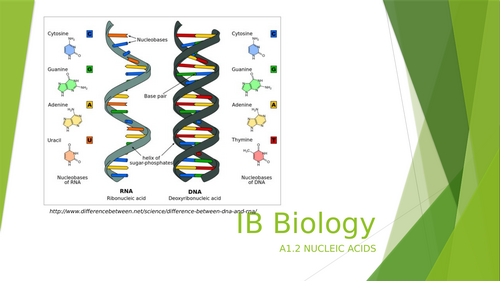 IBDP Biogy 2025 syllabus Topic A1.2 | Teaching Resources