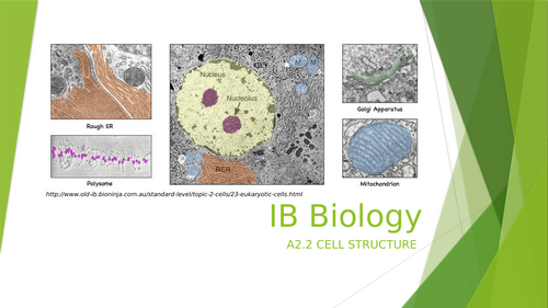IBDP Biology 2025 syllabus Topic A2.2 | Teaching Resources IBDP Biology 2025 syllabus Topic A2.2 | Teaching Resources