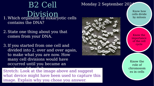 AQA GCSE COMBINED SCIENCE BIOLOGY B2 CELL DIVISION | Teaching Resources