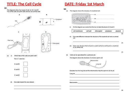 AQA GCSE Biology: B1 - Cell Biology | Teaching Resources