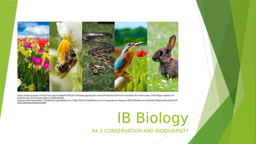 IB Biology 2025 syllabus Theme A | Teaching Resources