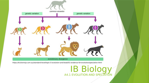 IB Biology 2025 syllabus Theme A | Teaching Resources