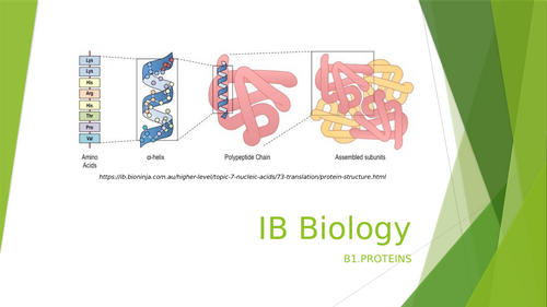 IB Biology 2025 syllabus Topic B1.2 | Teaching Resources