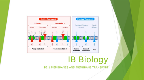 IB Biology 2025 syllabus Topic B2.1 | Teaching Resources