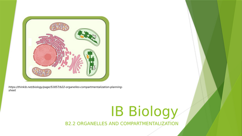 IB Biology 2025 syllabus Topic B2.2 | Teaching Resources