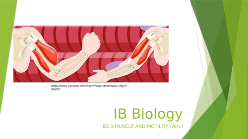 IB Biology 2025 syllabus Topic B3.3 | Teaching Resources