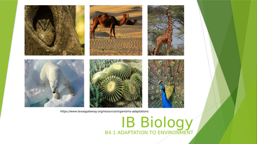 IB Biology 2025 syllabus Theme B | Teaching Resources