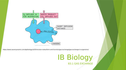 IB Biology 2025 syllabus Theme B | Teaching Resources