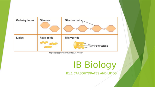 IB Biology 2025 syllabus Theme B | Teaching Resources