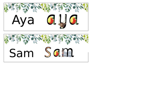 RWI Editable Name Cards | Teaching Resources