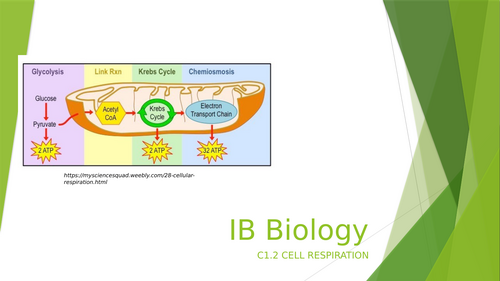 IB Biology 2025 syllabus Topic C1.2 | Teaching Resources