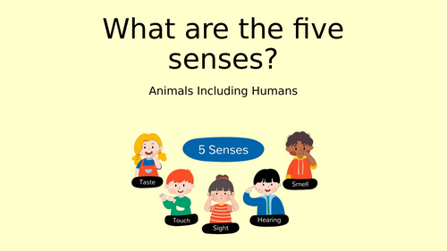 Year 1 Science - The Five Senses | Teaching Resources