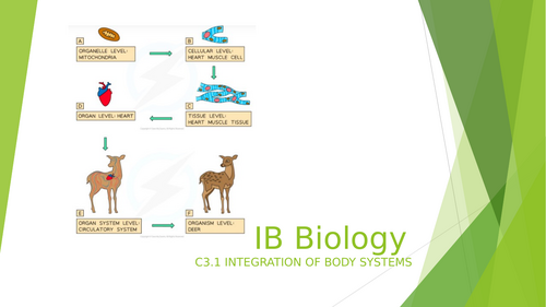 IB Biology 2025 syllabus Topic C3.1 | Teaching Resources