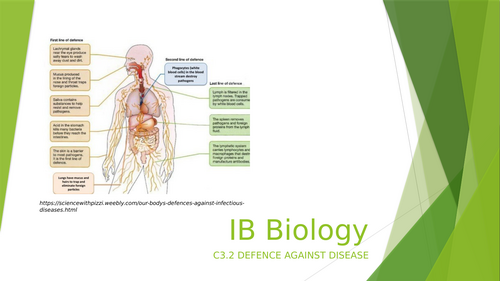 IB Biology 2025 syllabus Topic C3.2 | Teaching Resources