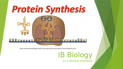 IB Biology 2025 syllabus Topic D1.2 | Teaching Resources