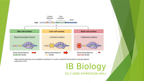 IB Biology 2025 syllabus Topic D2.2 | Teaching Resources