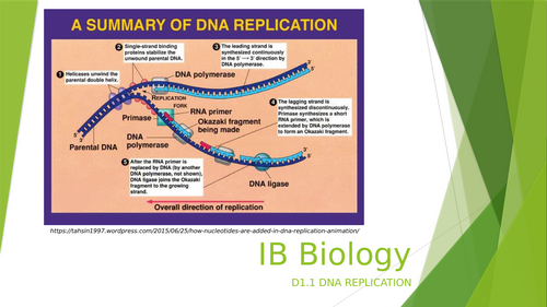 IB Biology 2025 syllabus Theme D | Teaching Resources