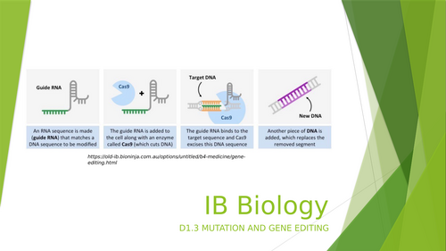 IB Biology 2025 syllabus Theme D | Teaching Resources