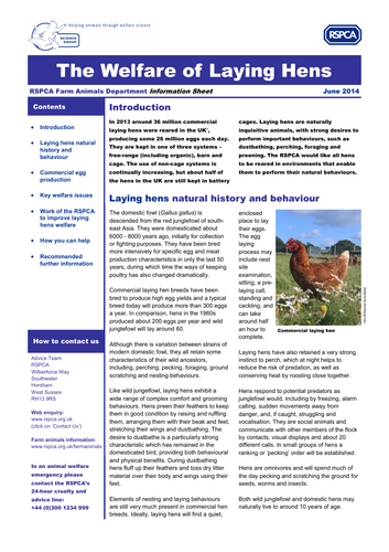 Geography of Food: Are Animals Responsibly Reared in the UK? | Teaching ...