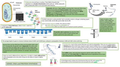 A-level AQA Biology Knowledge Organisers | Teaching Resources