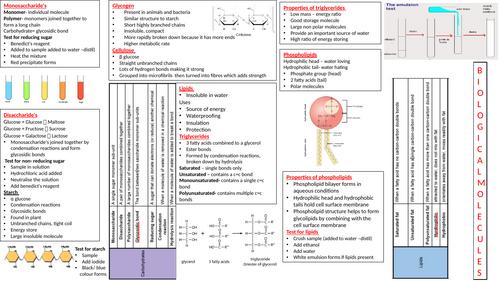A-level AQA Biology Knowledge Organisers | Teaching Resources
