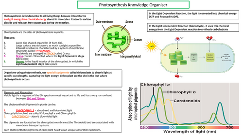 A-level AQA Biology Knowledge Organisers | Teaching Resources