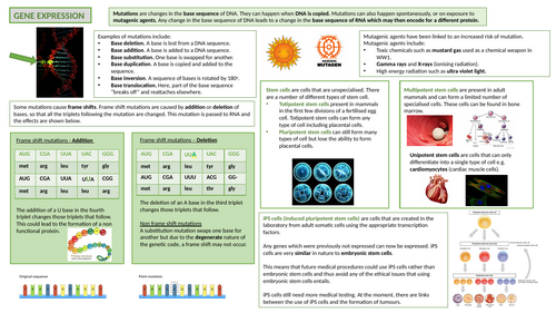 A-level AQA Biology Knowledge Organisers | Teaching Resources