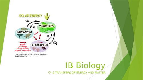 IBDP Biology 2025 syllabus Theme C | Teaching Resources