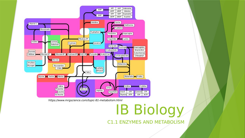 IBDP Biology 2025 syllabus Theme C | Teaching Resources