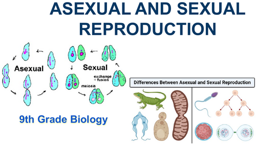 Asexual and Sexual Reproduction - Lecture Notes (10 pages) | Teaching ...