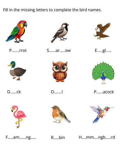 preschool birds name worksheet for kindergarten | Teaching Resources