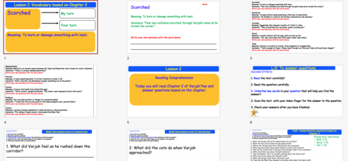 Varjak Paw -diary entry of Varjak based on Chapter 2 | Teaching Resources