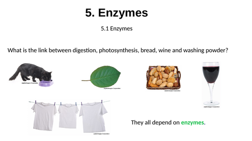 IGCSE Biology- Topic 5-Enzymes | Teaching Resources