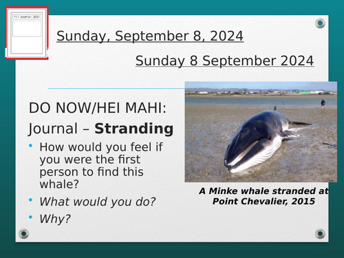 Whale Rider - Teaching Pack | Teaching Resources