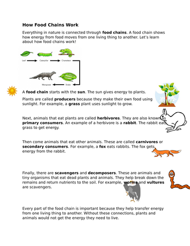 How Food Chains Work Science Reading | Teaching Resources