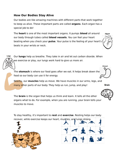 How Our Bodies Stay Alive Science Reading | Teaching Resources