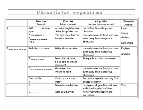 Year 7 - Living systems - L6 Unicellular organisms | Teaching Resources