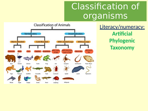 AQA. GCSE. Ecology. Classification | Teaching Resources