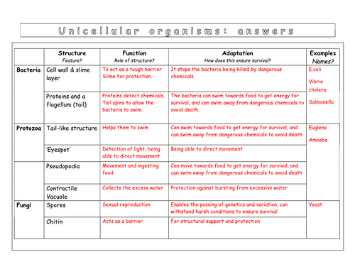 Year 7 - Living systems – L6 - Unicellular organisms worksheet ...