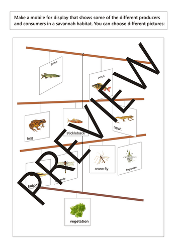 Food Chains and Food Webs - Ponds | Teaching Resources
