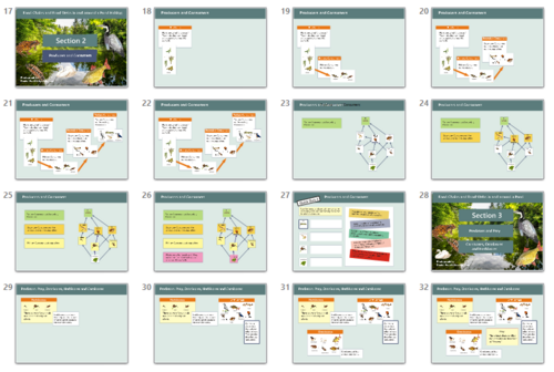 Food Chains and Food Webs - Ponds | Teaching Resources