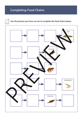 Food Chains and Food Webs - Ponds | Teaching Resources