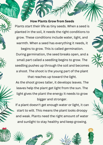 How Plants Grow From Seeds Science Reading | Teaching Resources