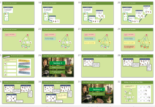 Food Chains and Food Webs - Woodlands | Teaching Resources