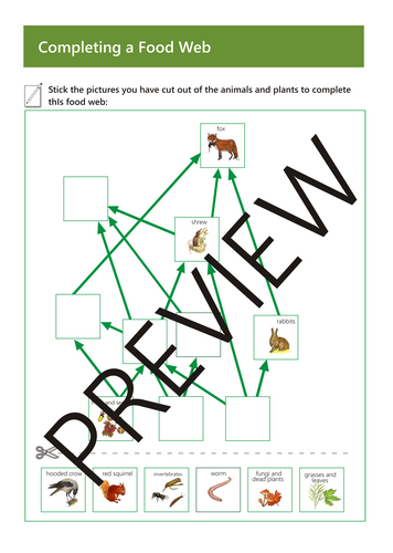 Food Chains and Food Webs - Woodlands | Teaching Resources