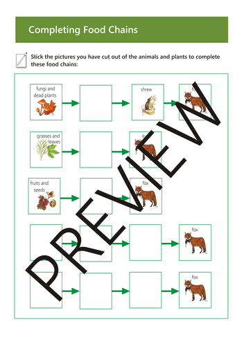 Food Chains and Food Webs - Woodlands | Teaching Resources