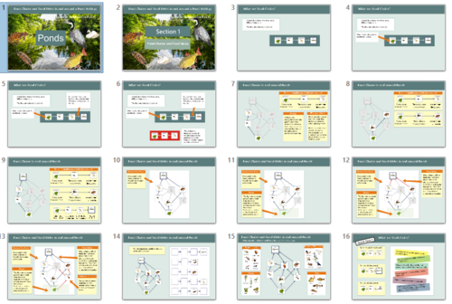 Food Chains and Food Webs - Ponds | Teaching Resources