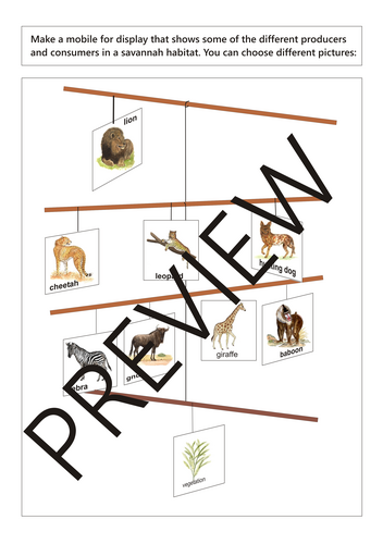 Food Chains and Food Webs - Savannah | Teaching Resources