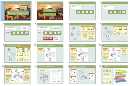Food Chains and Food Webs - Savannah | Teaching Resources